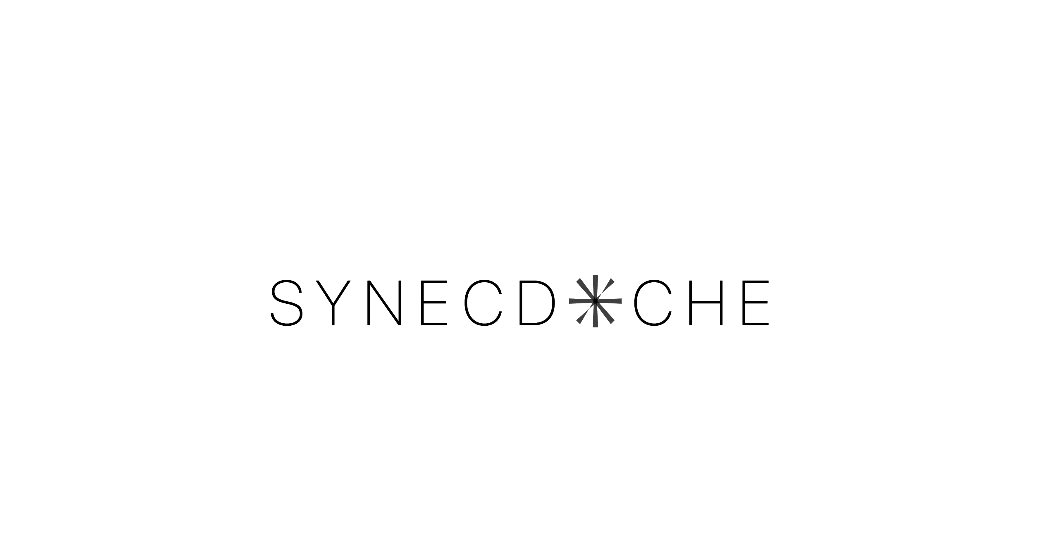 Synecdoche | Model, Simulate, Iterate